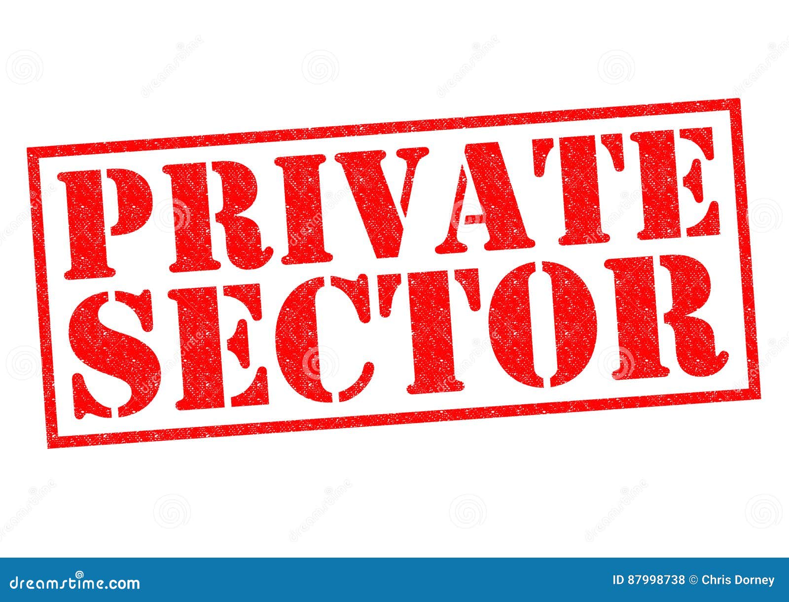 Private Sector Logo
