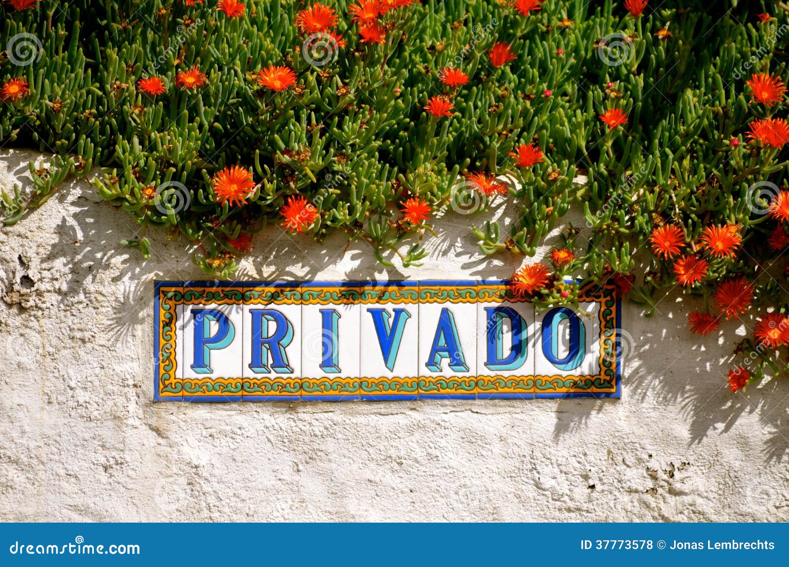 Private sign stock photo. Image of tiles, privado, home - 37773578