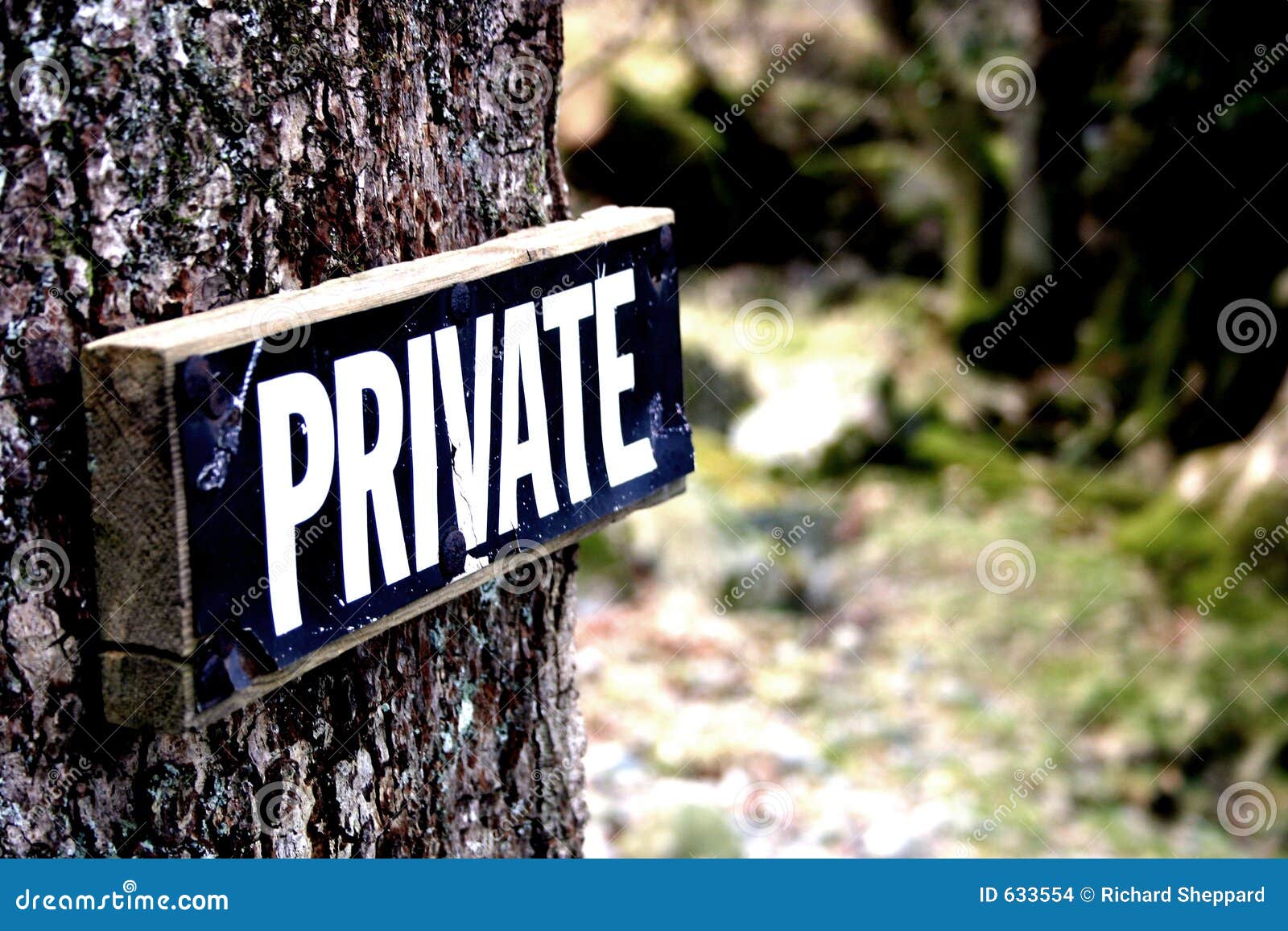 Private sign stock photo. Image of tree, prosecute, woodland - 633554