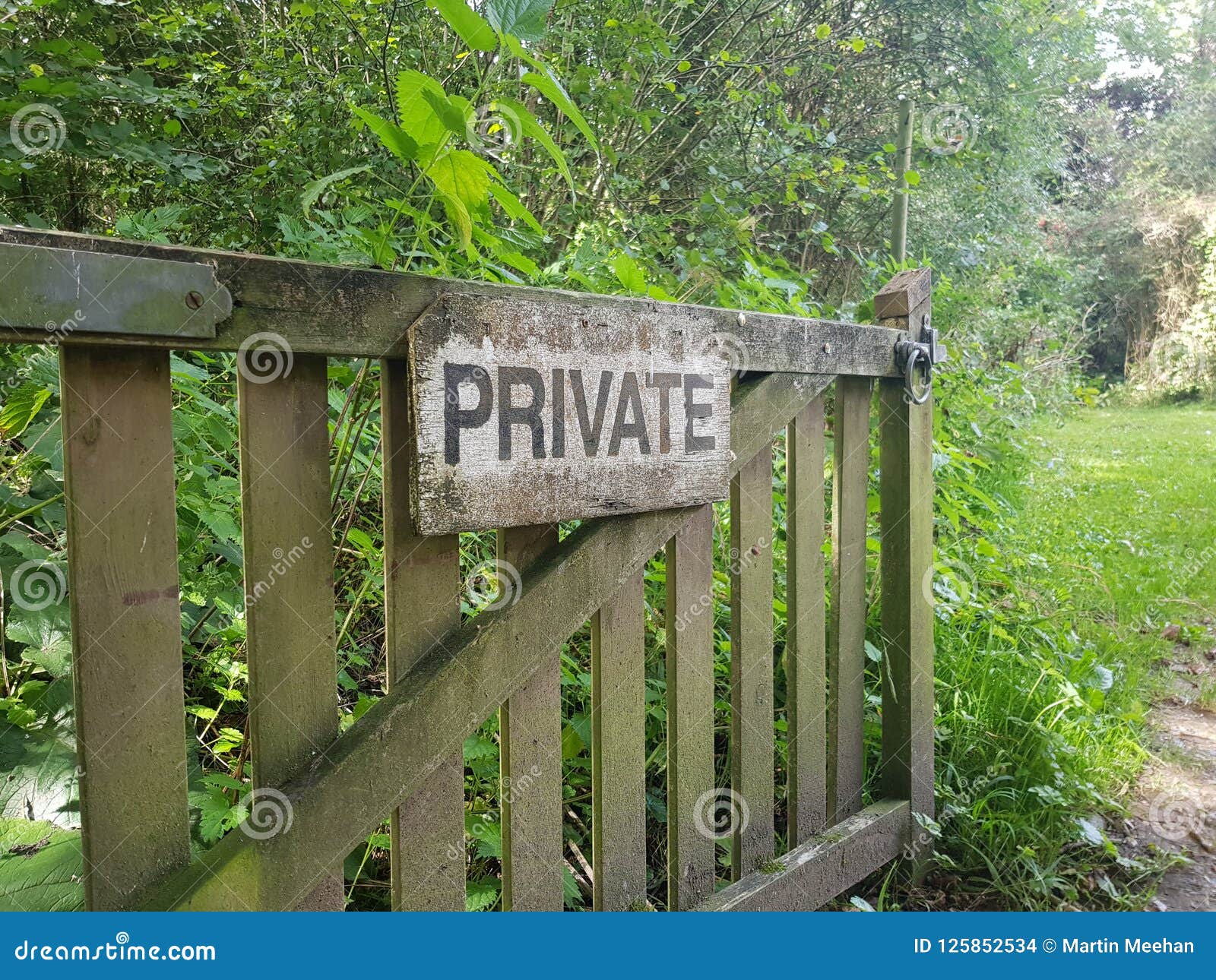 Private sign. stock photo. Image of private, wood, woodland - 125852534