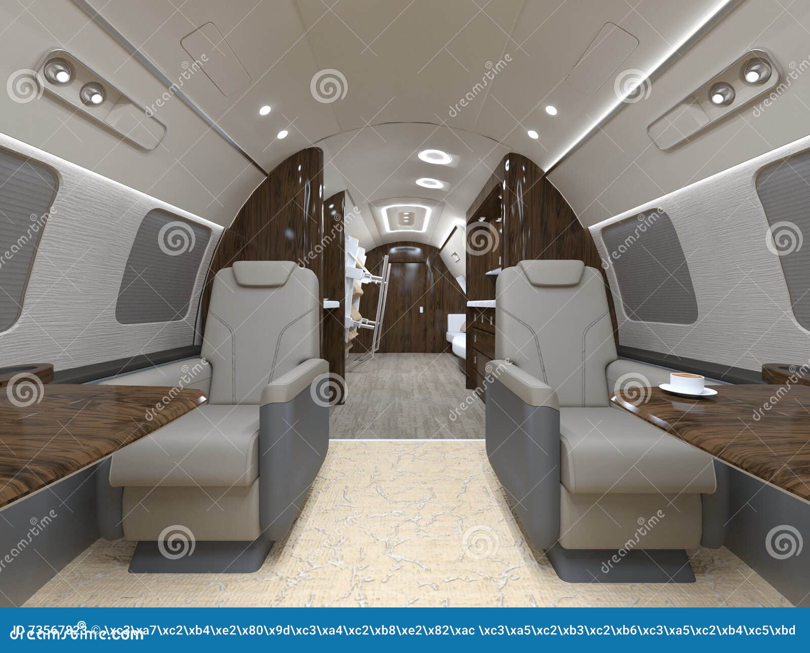 Privete jet stock image. Image of outdoors, nature, gorgeousness - 73567823