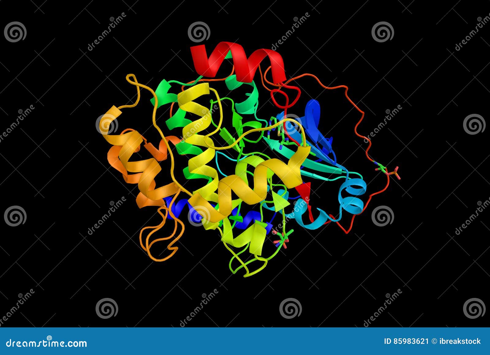 PRKACA, a Key Regulatory Enzyme Responsible for Phosphorylating Stock ...