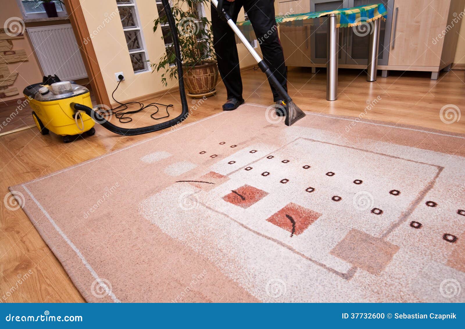 Pro cleaning services stock photo. Image of removal, vacuum - 37732600