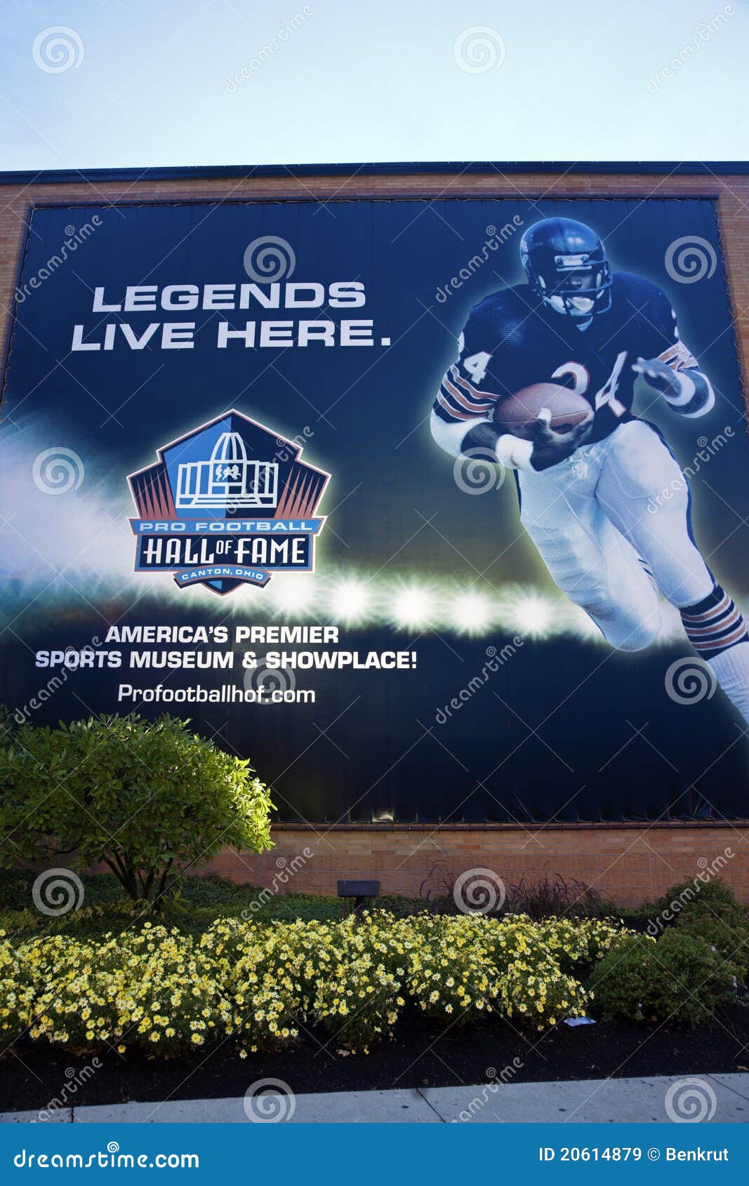 Pro Football Hall of Fame editorial stock image. Image of city - 20614879