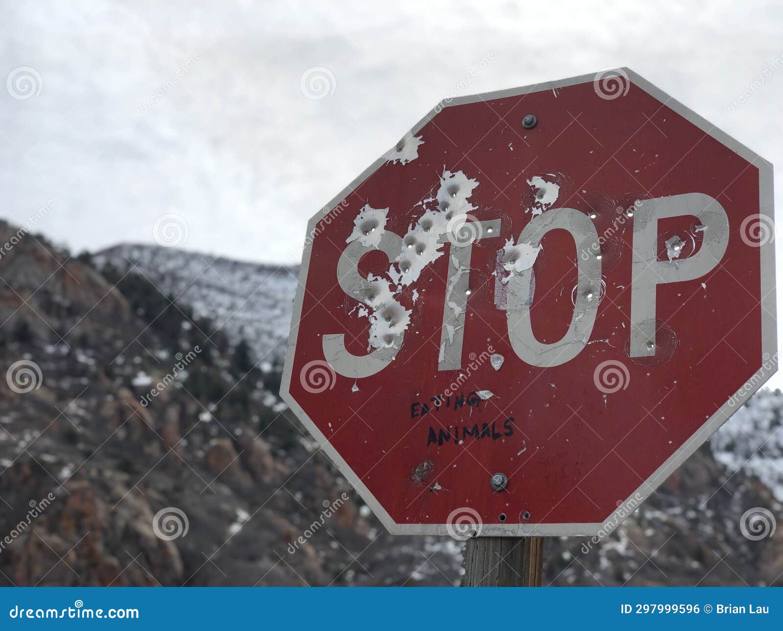 Pro Vegan Message on Public Stop Sign Stock Photo - Image of sign ...