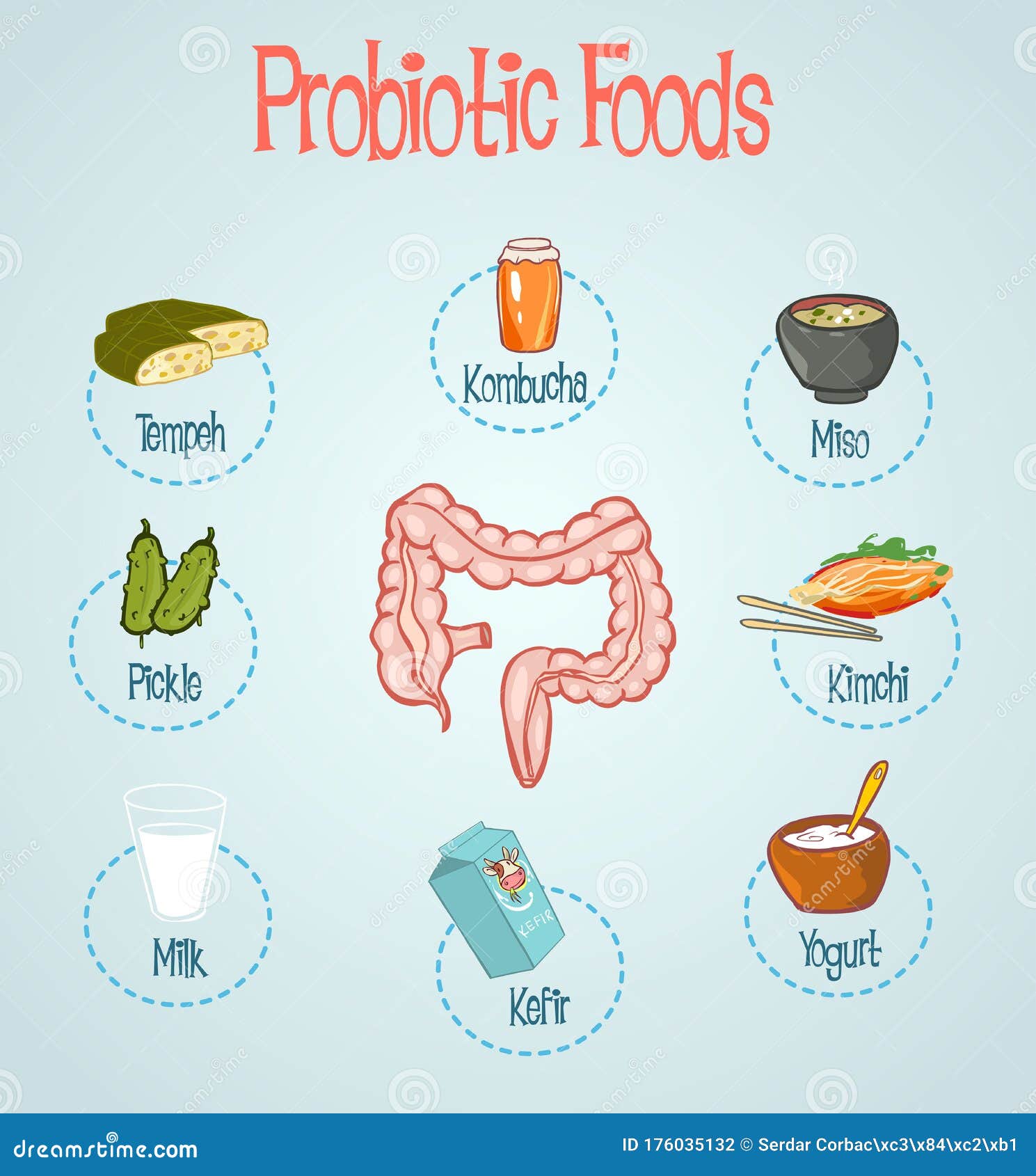 Probiotic Foods Hand Drawn Vector Illustration Stock Vector ...