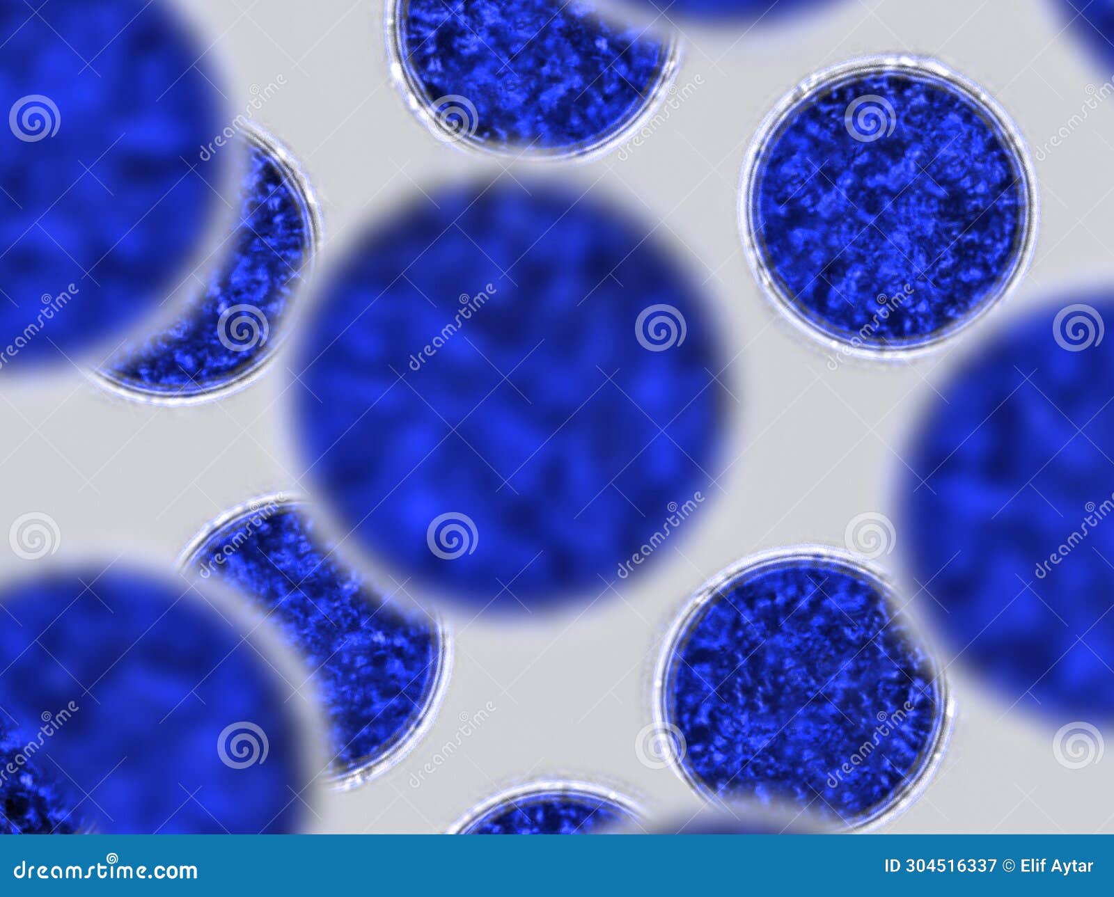 Probiotics, Bacteria On White Background. Bacteria And Microorganisms ...