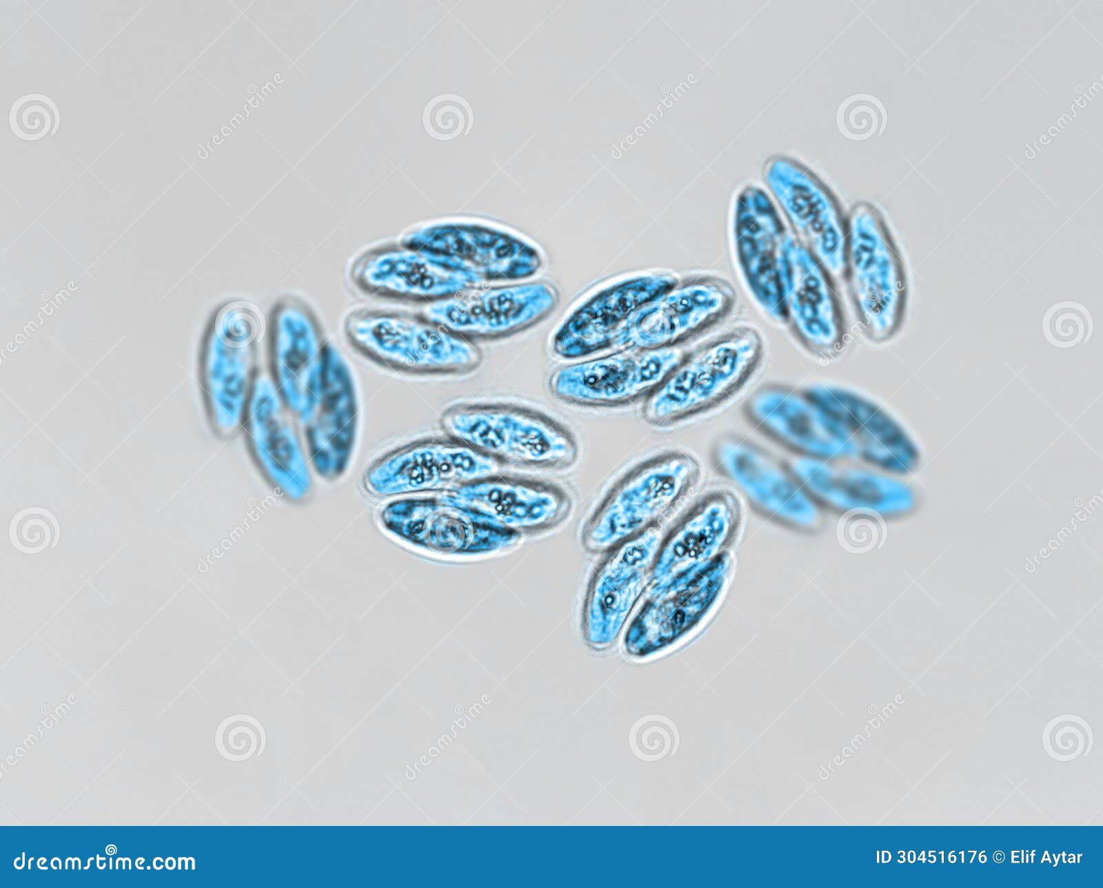 Probiotics, Bacteria On White Background. Bacteria And Microorganisms ...