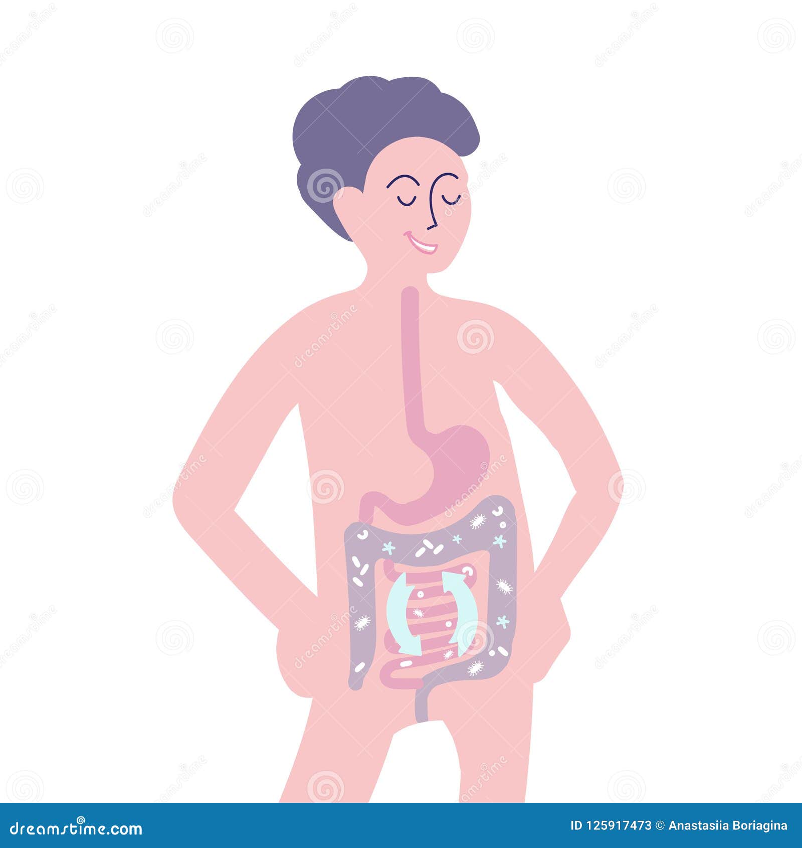 Probiotics Benefits Scheme Of Influence Of Probiotics On A Human Body