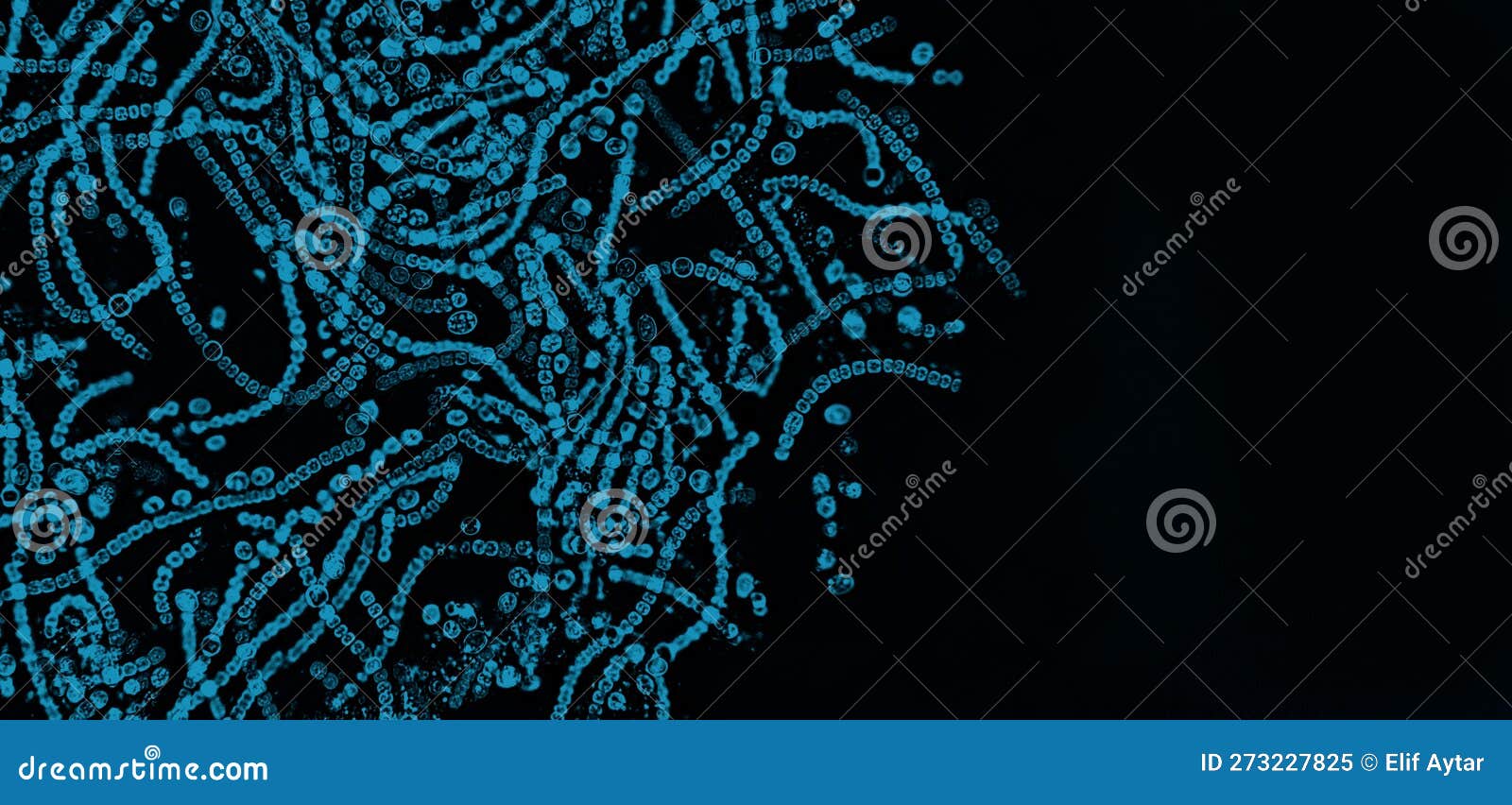 Lactic Acid Molecule 3d, Molecular Structure, Ball And Stick Model ...