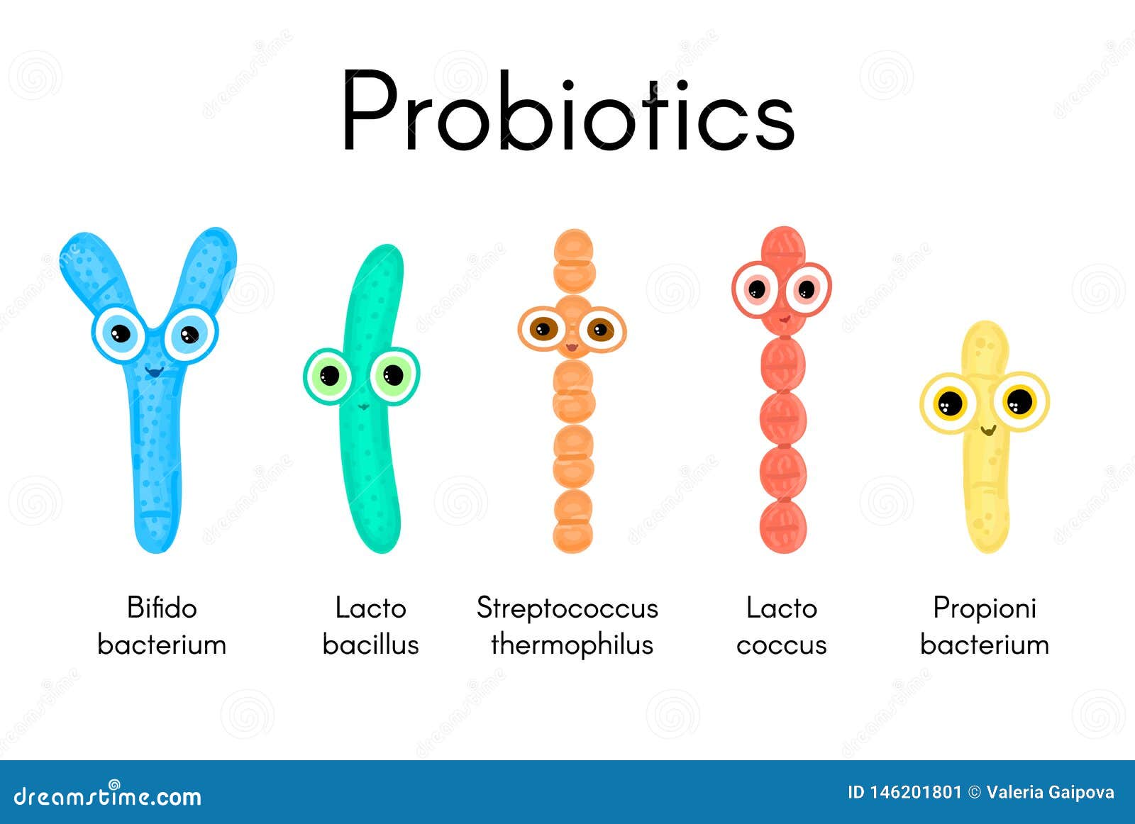 Probiotics. Bifidobacterium, Lactobacillus, Streptococcus Thermophilus ...