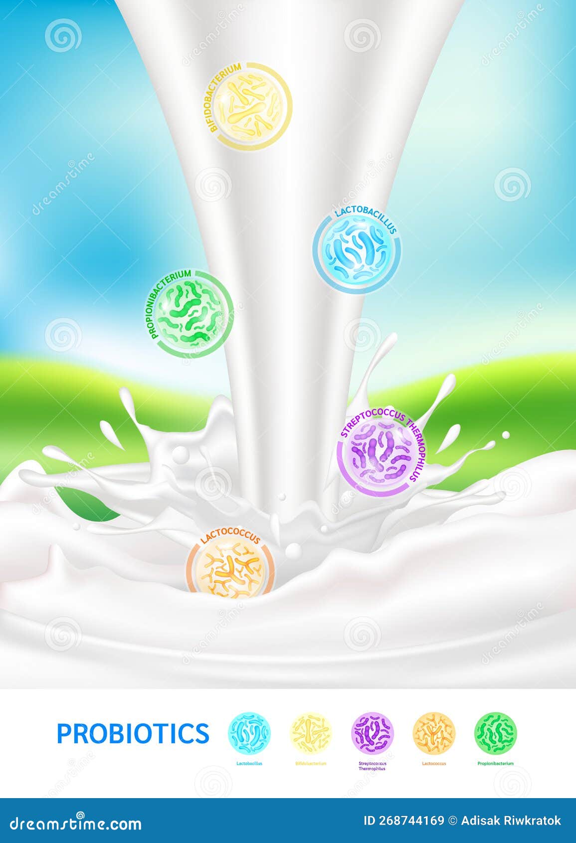 Probiotics Lactic Acid Bacterium in Milk Stock Vector - Illustration of ...