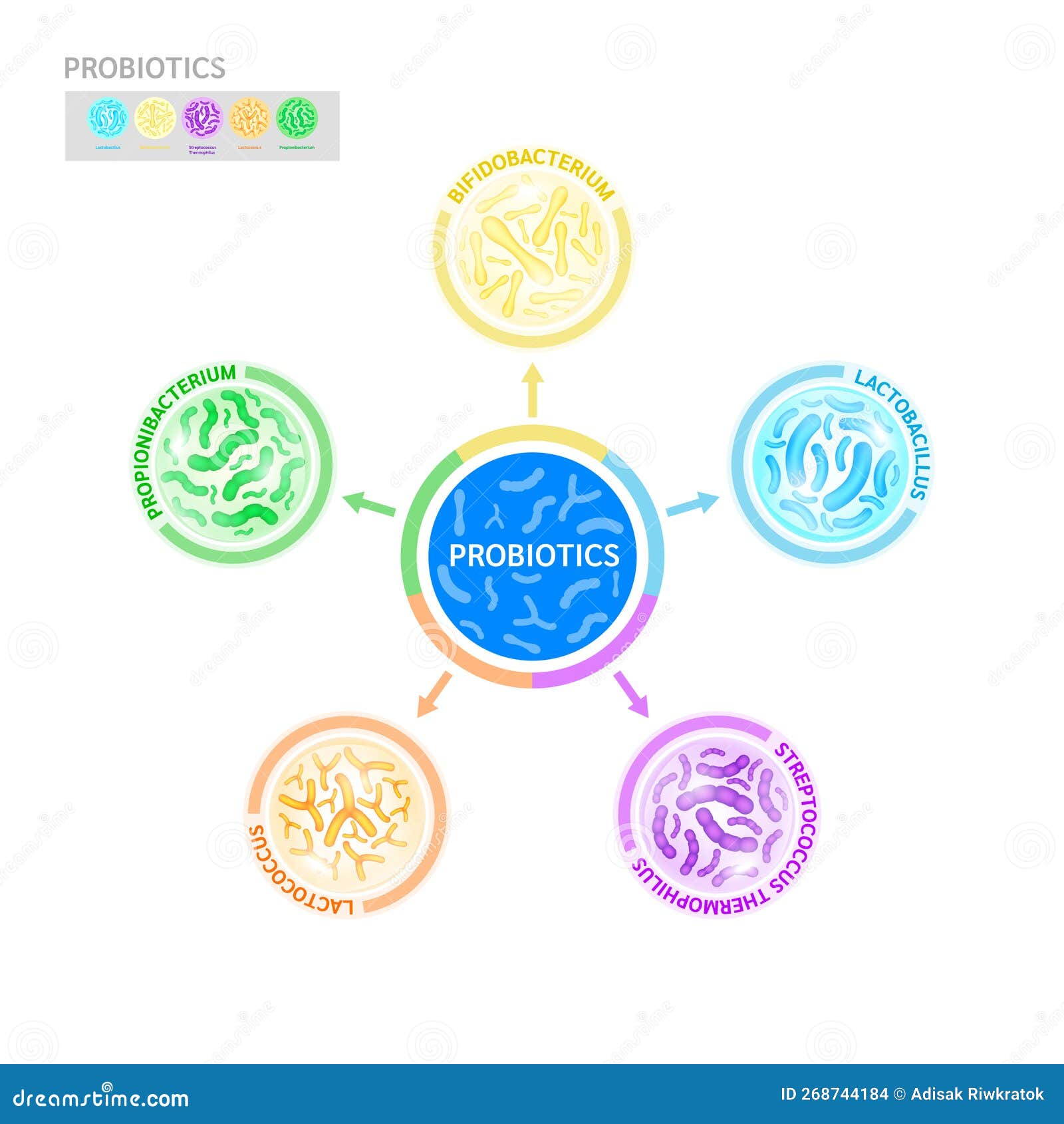 Probiotics Lactic Acid Bacterium in Milk Stock Vector - Illustration of ...