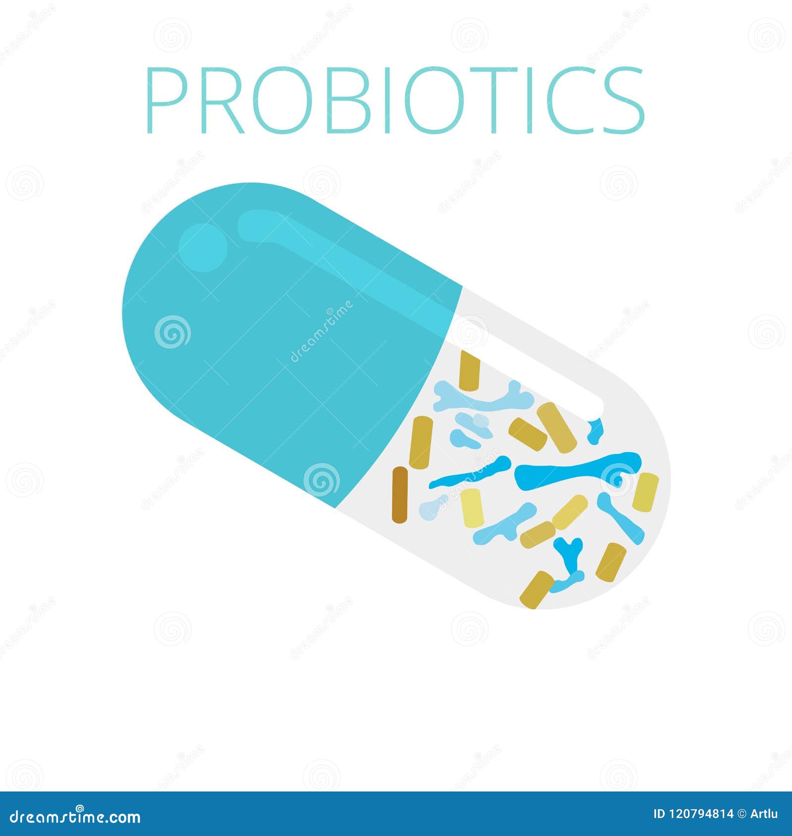 Probiotics Lactobacilli and Bifidobacterium in Capsules Stock Vector ...