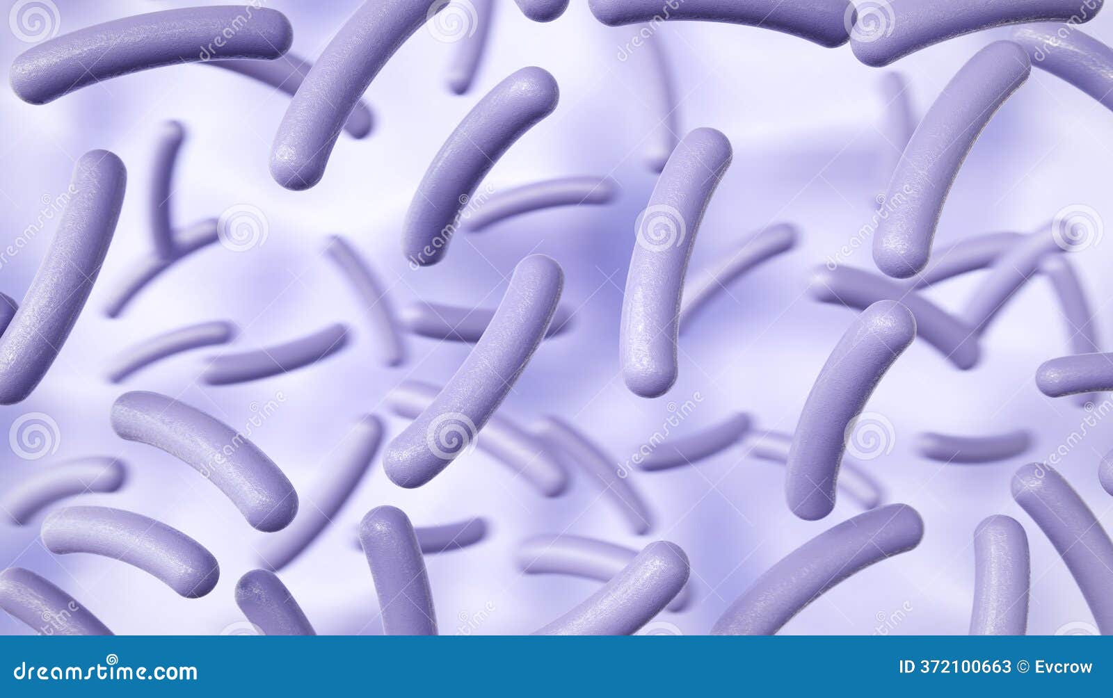 Probiotics Lactobacillus Acidophilus. Human Microbiome Background Stock ...