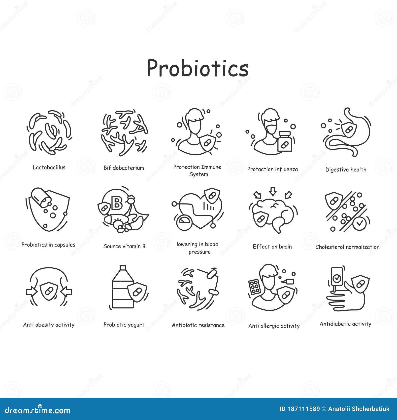 Probiotics Set Of Icon Good Bacteria For Human Flora Health Linear