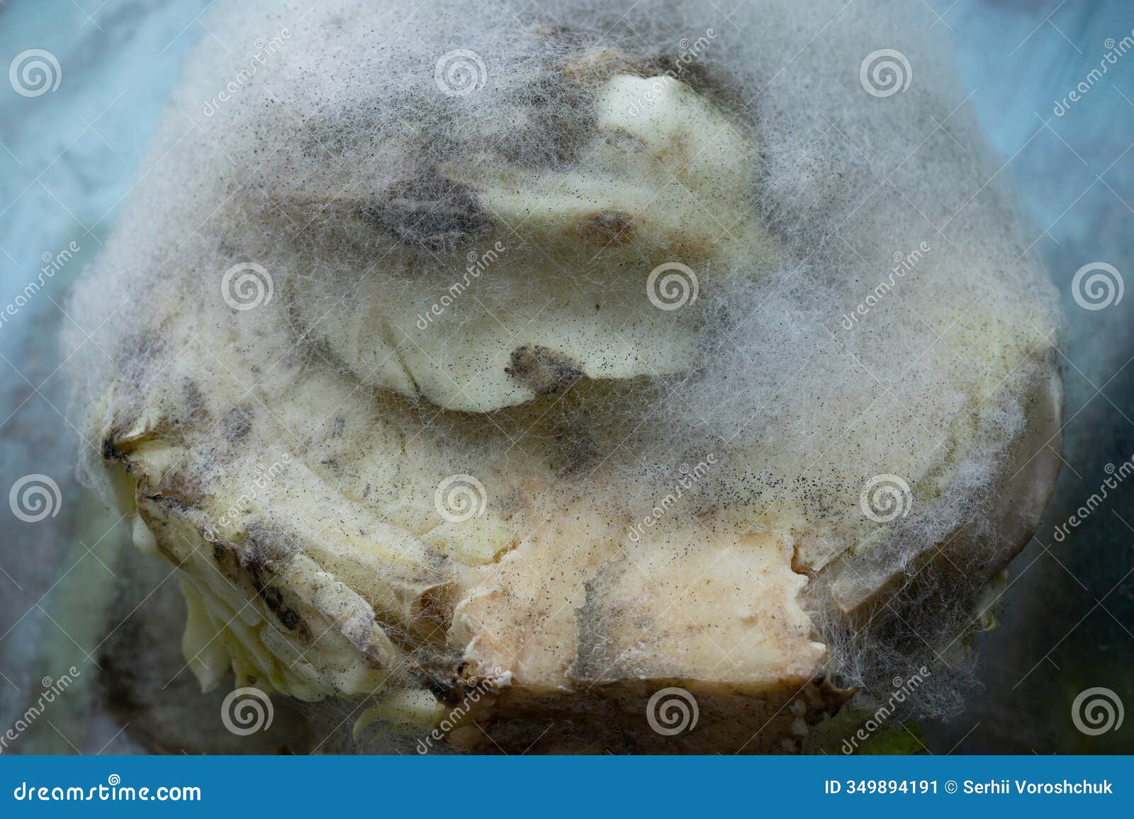 The Problem of Food Waste. the Consequences of Improper Food Storage ...