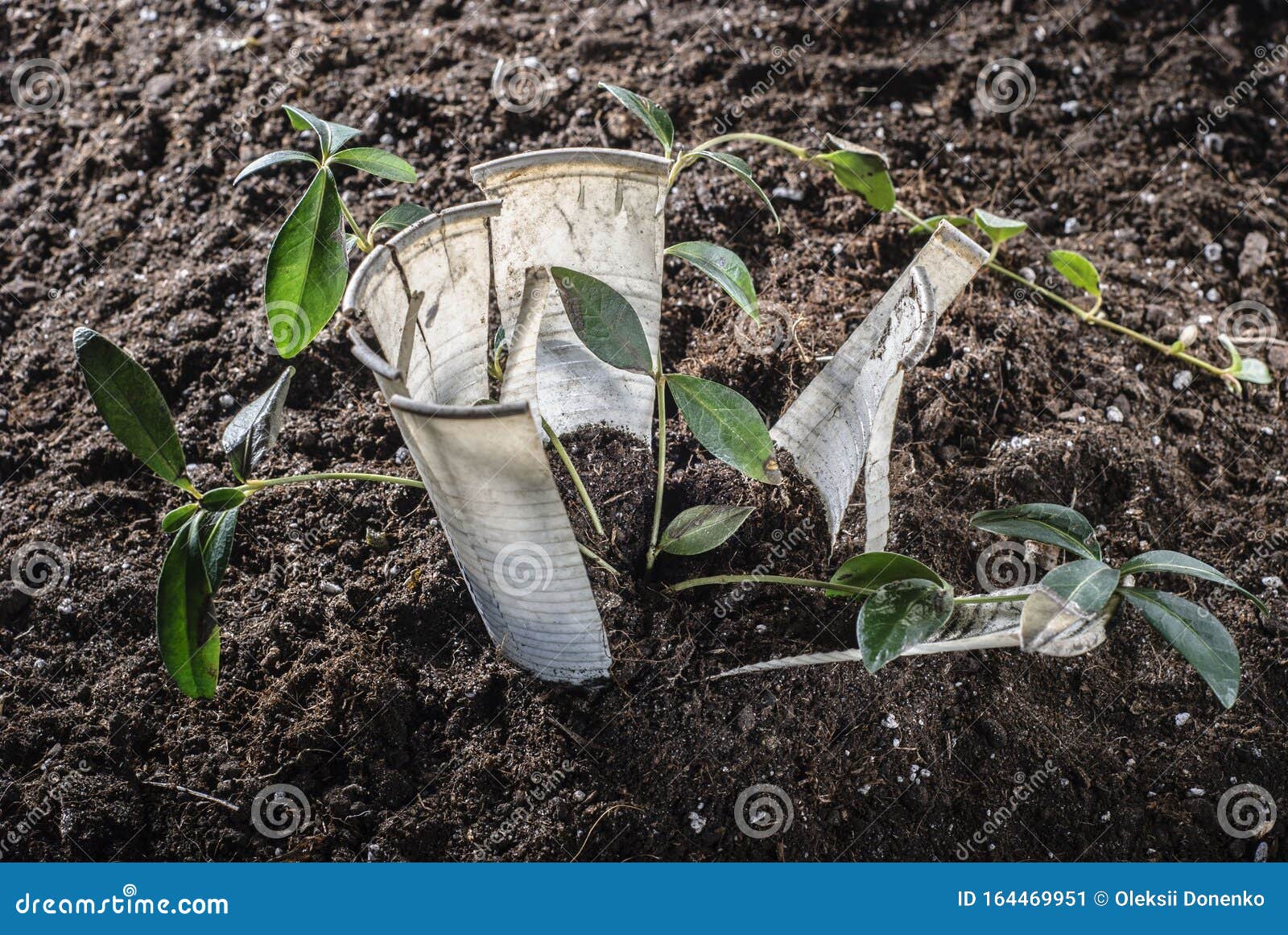 The Problem of Mankind is Environmental Pollution with Plastic. an ...