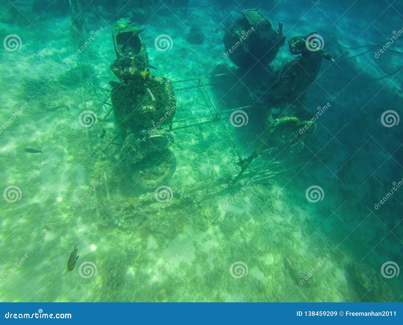 Ocean Pollution Definition