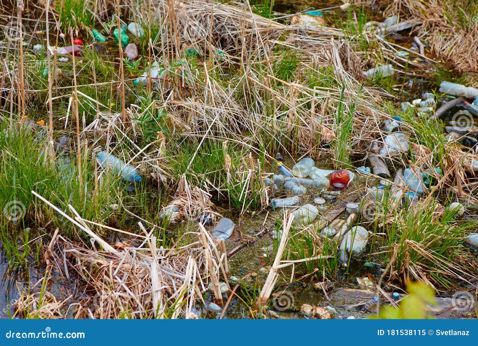 The Problem of Pollution and Ecology of Reservoirs. Garbage on the ...