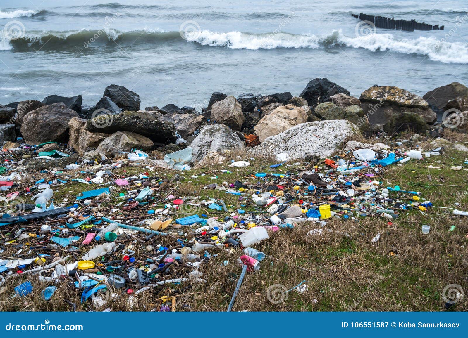 The Problem of Pollution and Ecology of the Sea Shore and the Ocean ...
