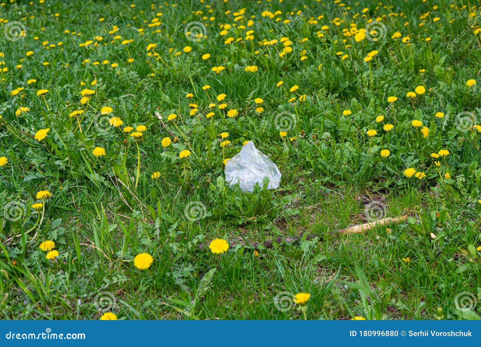 The Problem of Pollution of Nature with Human Waste Stock Photo - Image ...