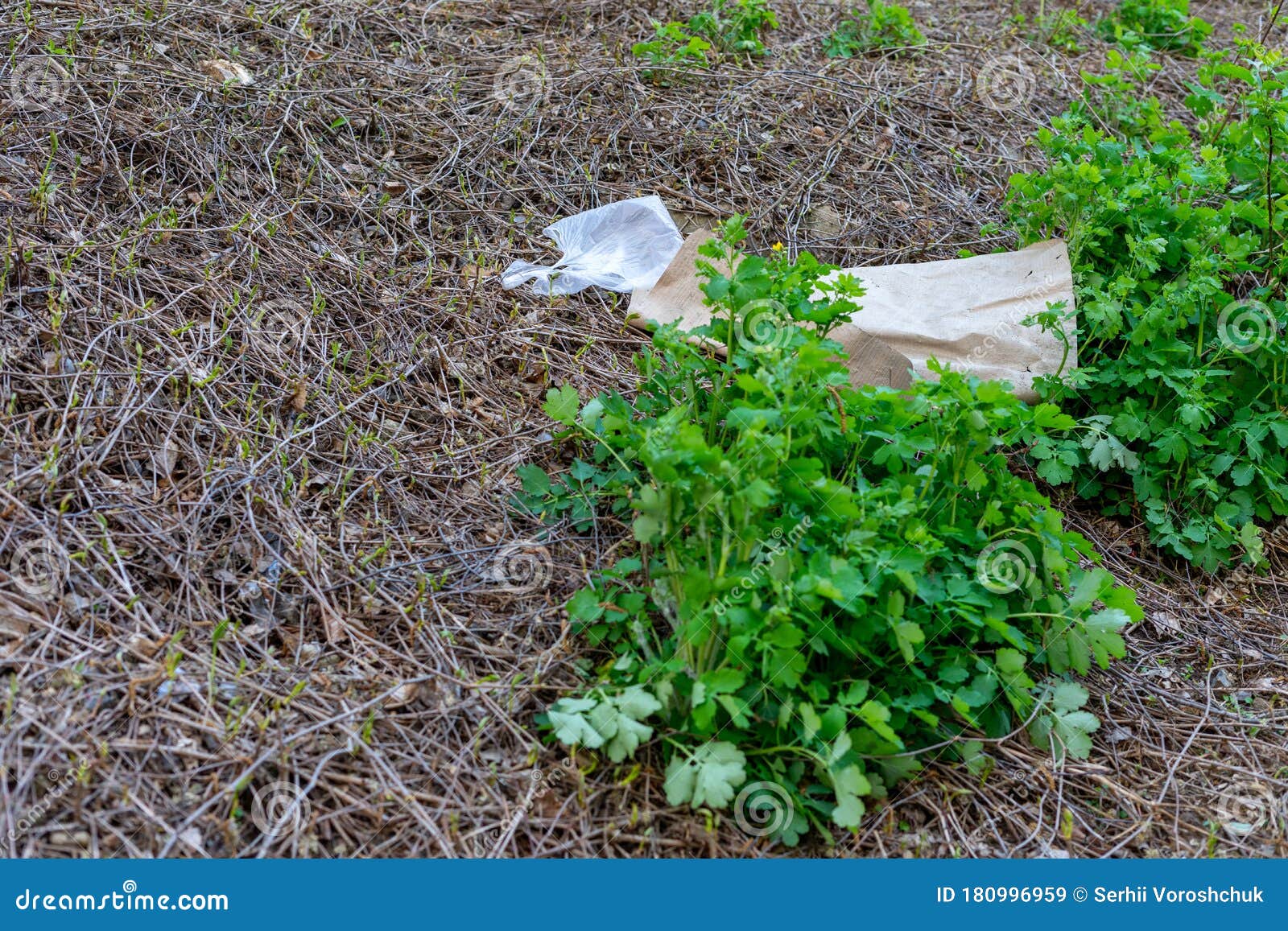 The Problem of Pollution of Nature with Human Waste Stock Image - Image ...