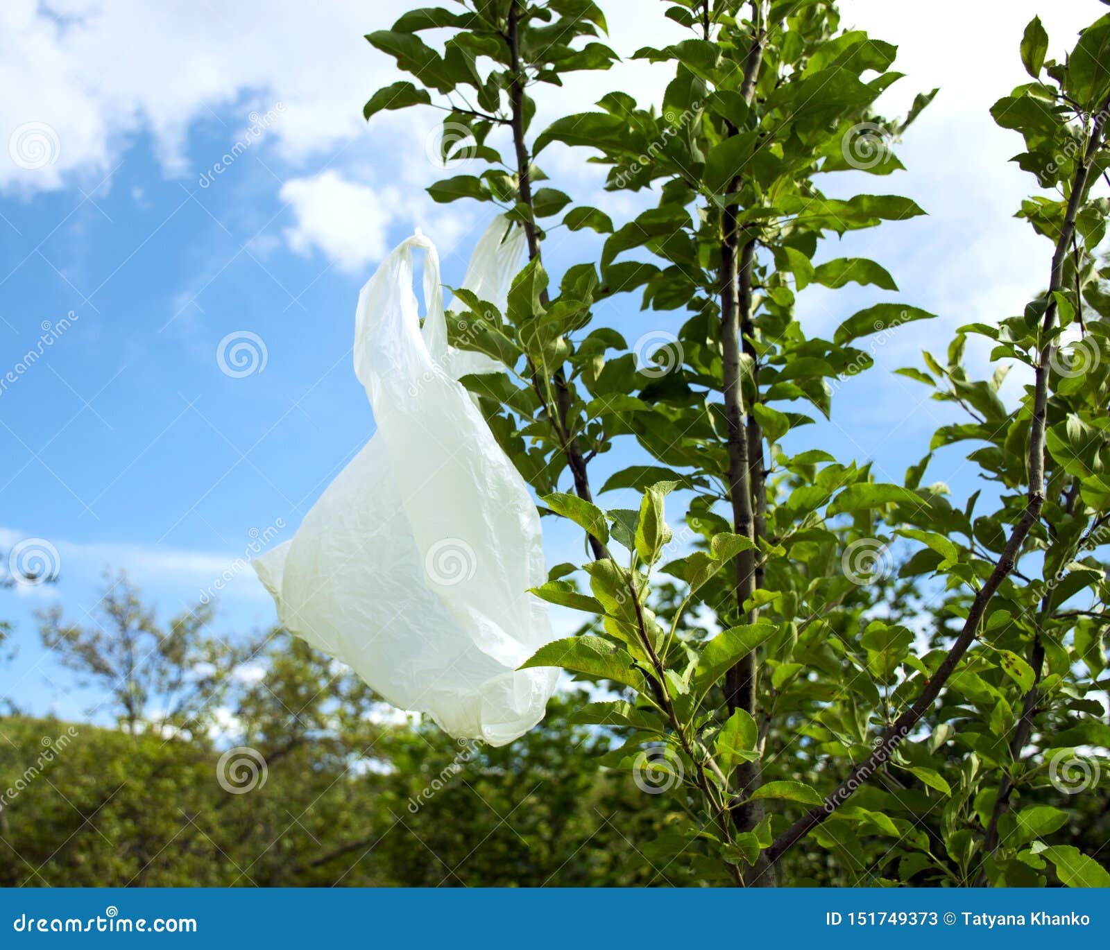 The Problem with Pollution. Package Hangs on a Tree Stock Image - Image ...