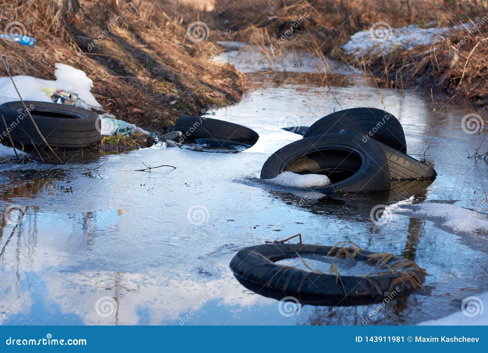Problems of Ecology, Debris in the Forest Stock Image - Image of ...