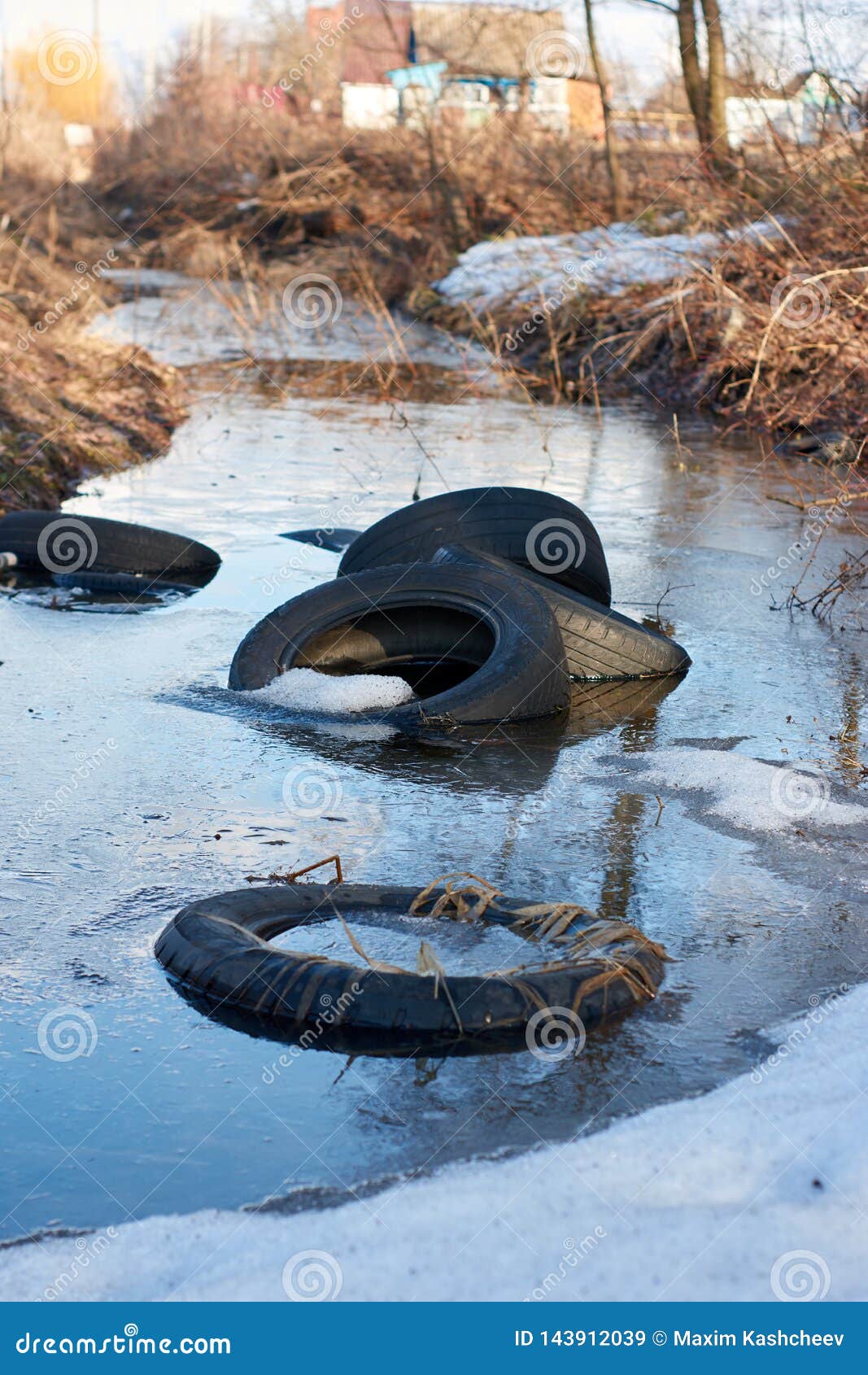 Problems of Ecology, Debris in the Forest Stock Image - Image of ...