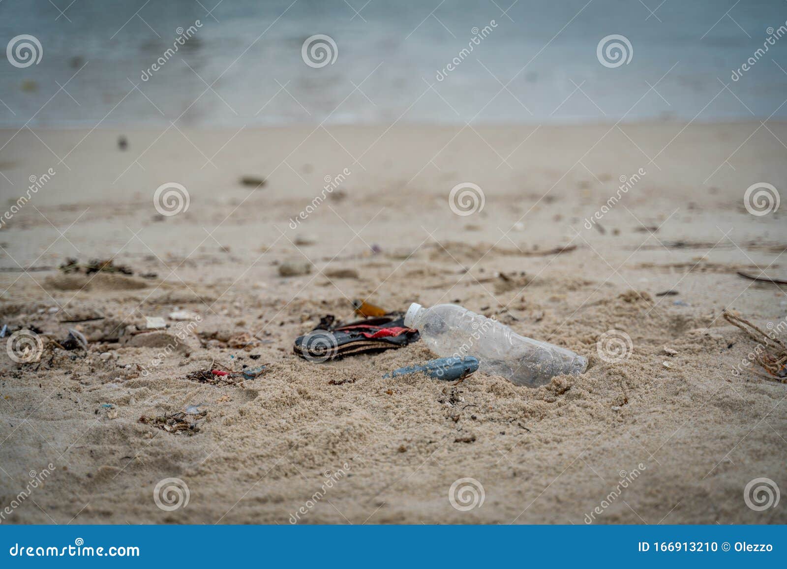 Problems of Environmental Pollution and Oceans, Plastic Trash on the ...