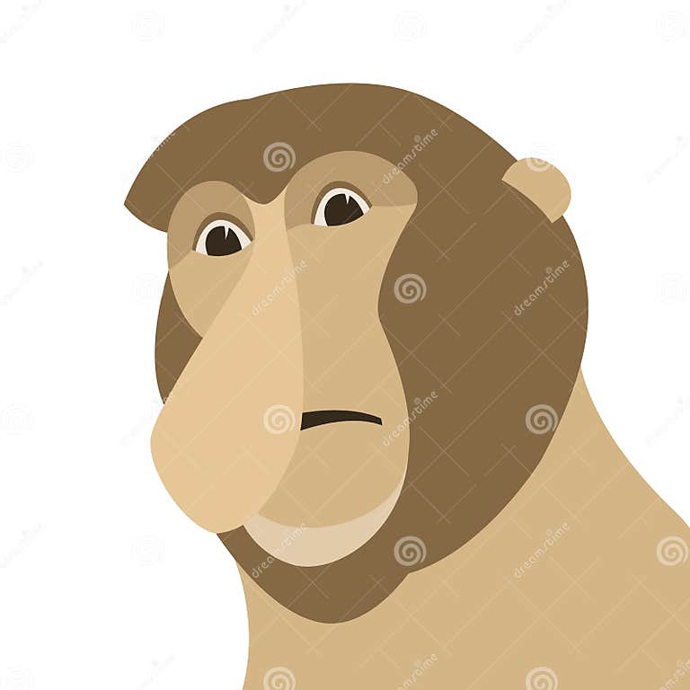 Proboscis Monkey Head Vector Illustration Flat Style Stock Vector ...