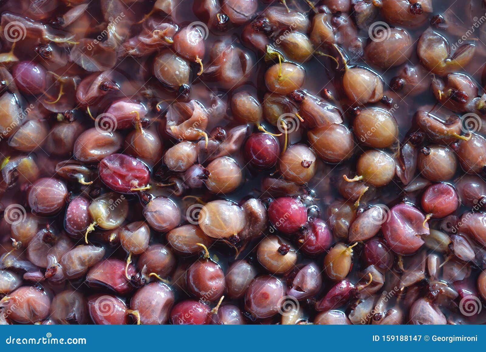 Fermentation of the Mash from Berries for Wine Stock Image - Image of ...
