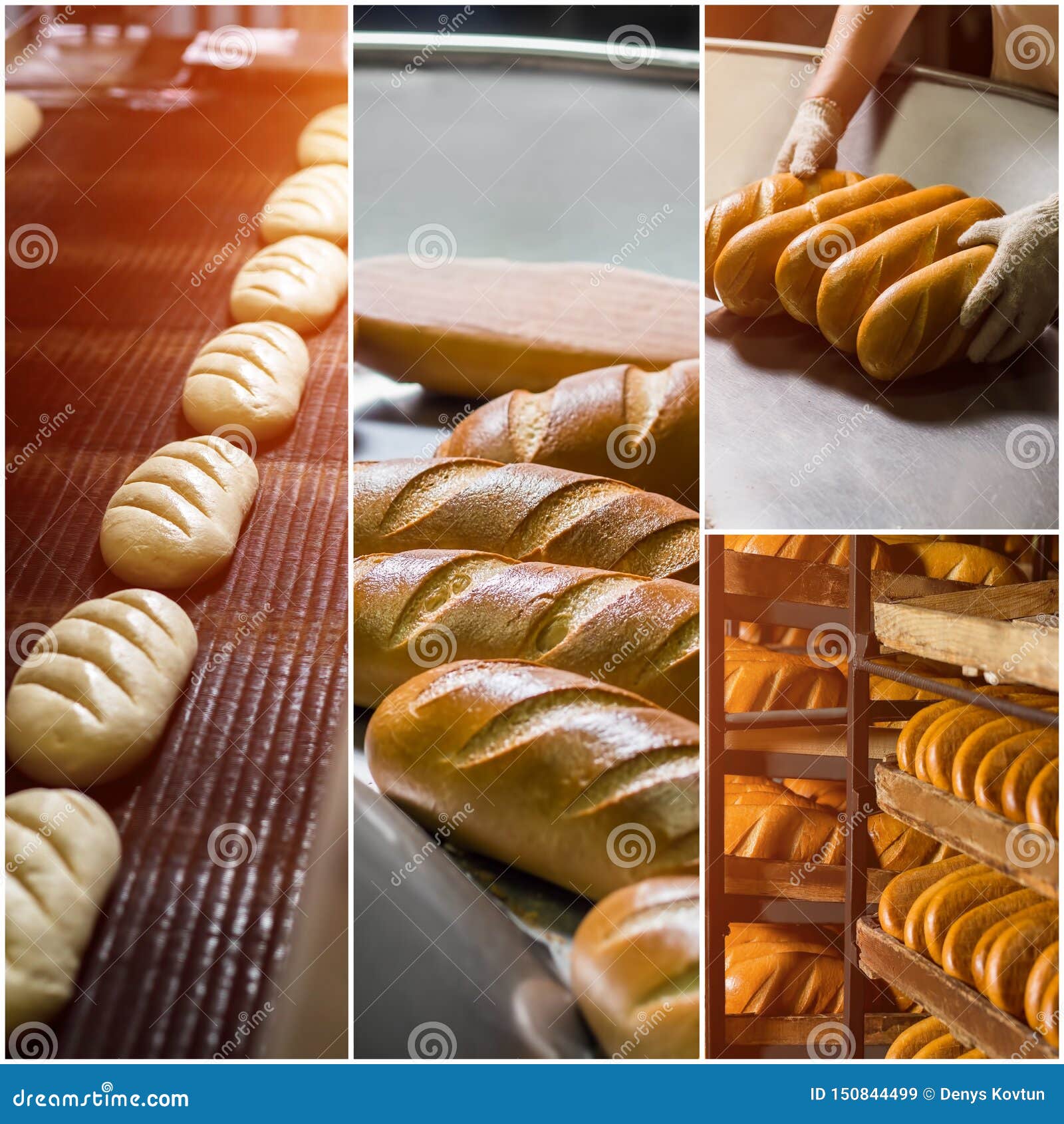 Process of Bread Baking Collage. Stock Image - Image of flour, crust ...