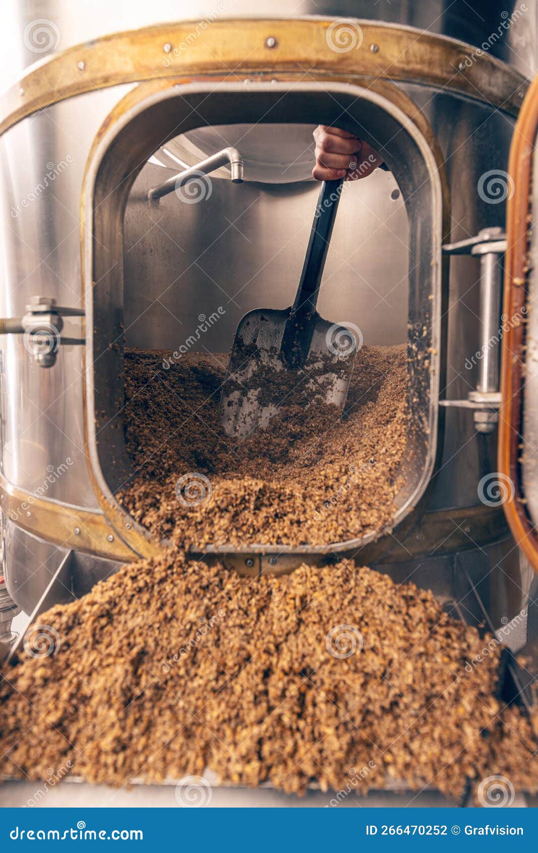 Process of Brewing Grain of Barley Stock Photo - Image of industry ...