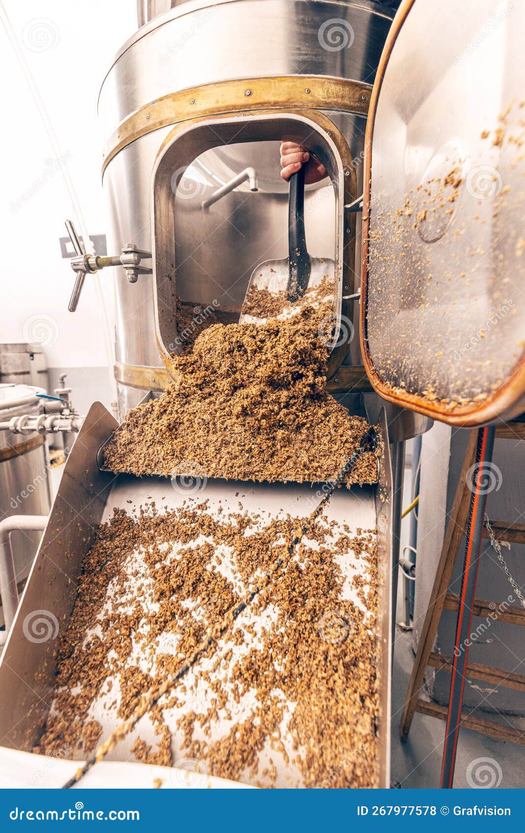 Process of Brewing Grain of Barley Stock Photo - Image of industry ...