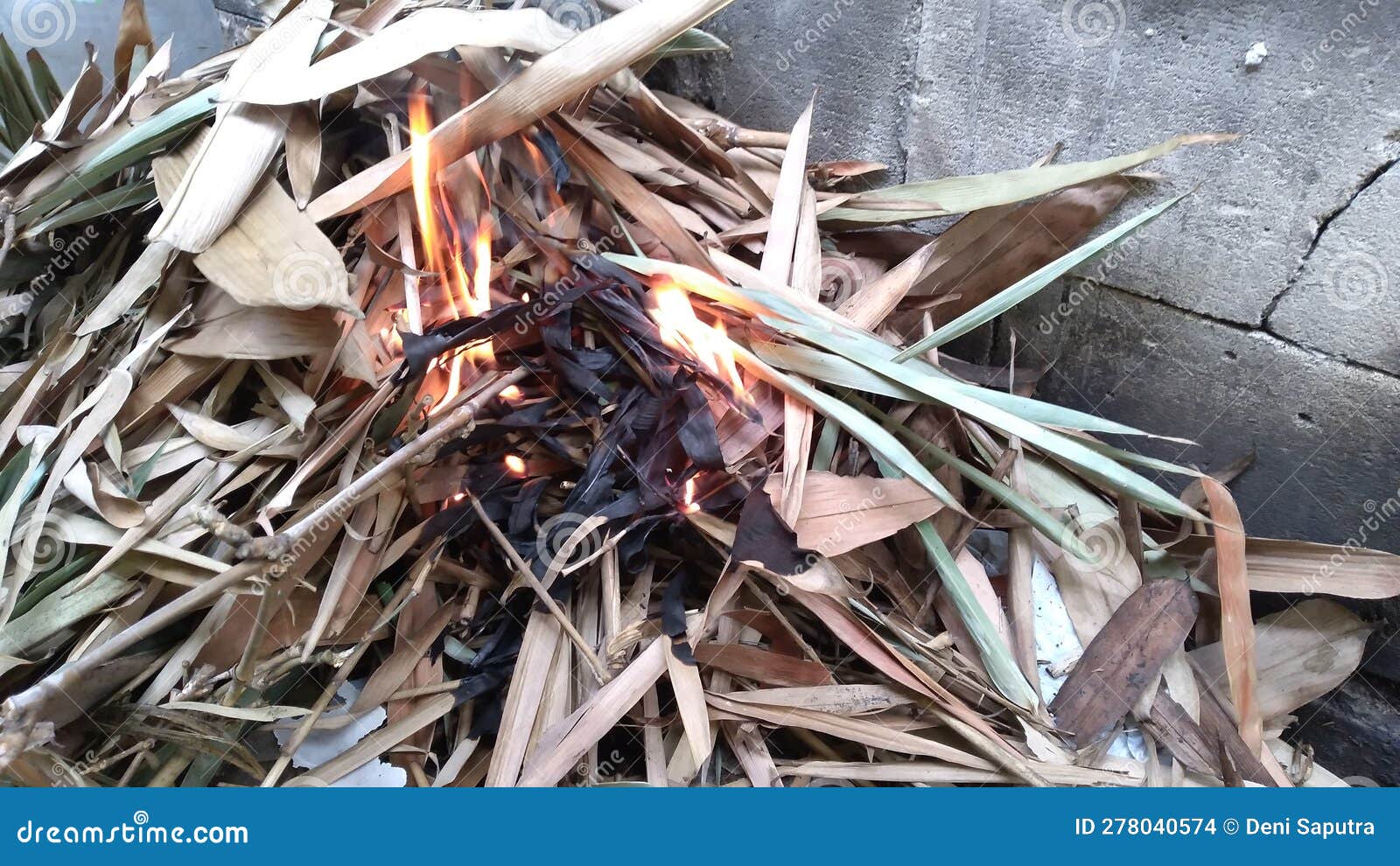 Process of Burning Dry Bamboo Leaves Stock Photo - Image of dont, fire ...