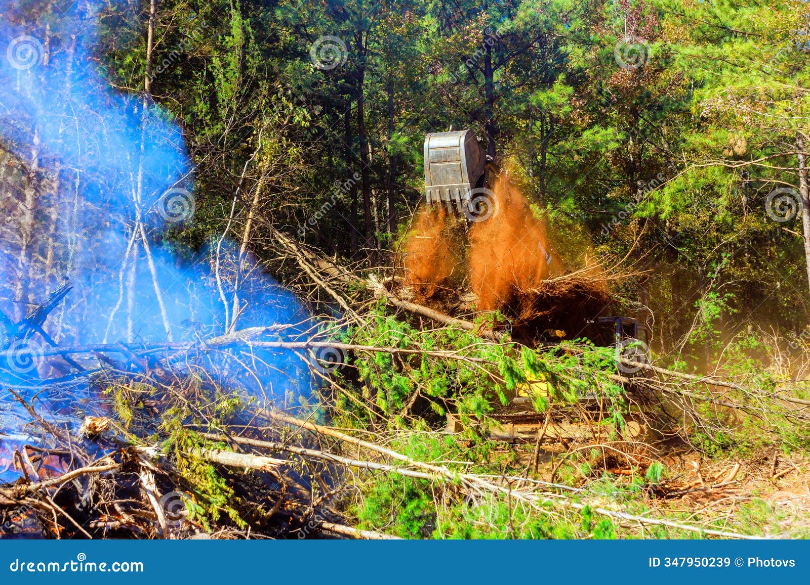 In Process, Burning Uprooted Trees during Land Clearing Results at ...