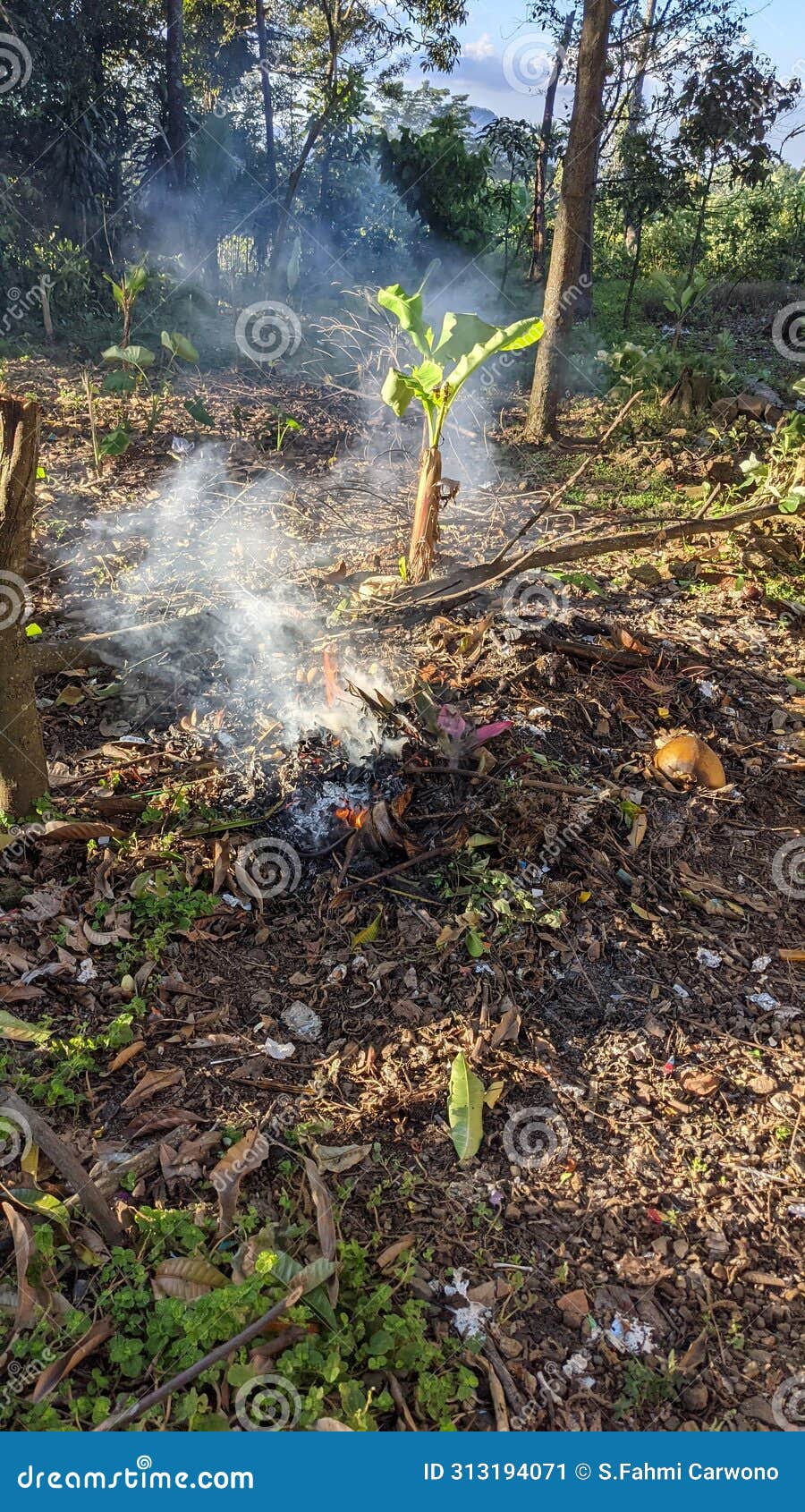 The Process of Burning Waste in the Garden Stock Image - Image of ...