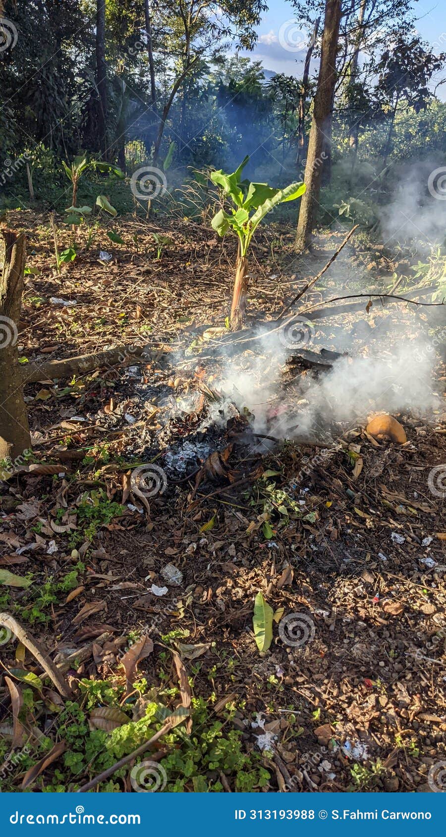 The Process of Burning Waste in the Garden Stock Photo - Image of trash ...