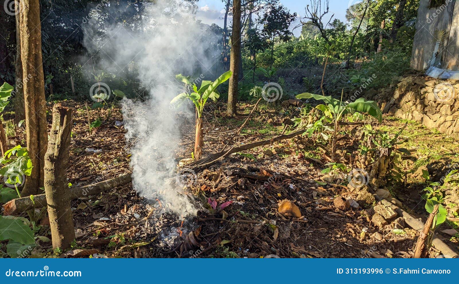 The Process of Burning Waste in the Garden Stock Photo - Image of ...