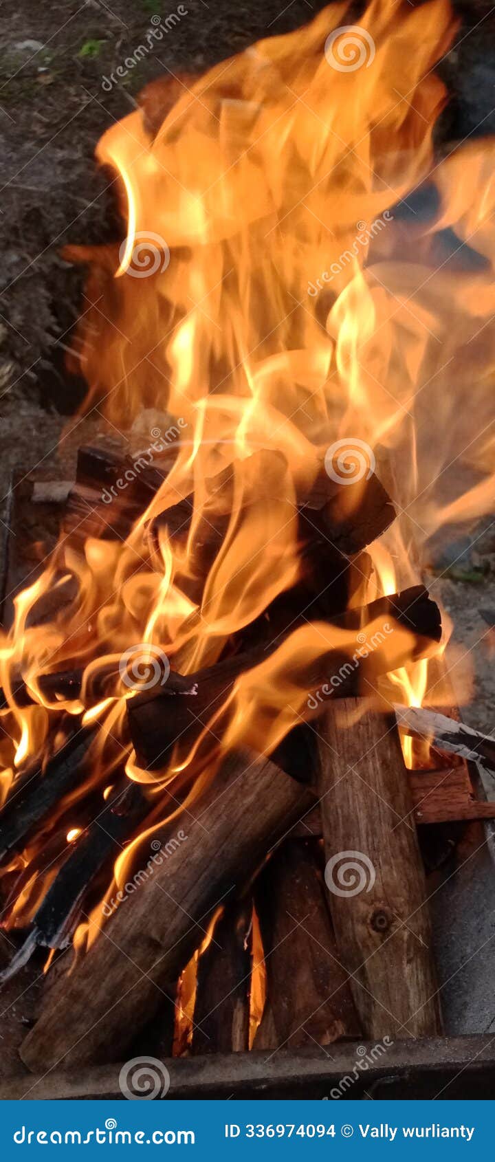 The Process of Burning Wood into Black Charcoal Stock Photo - Image of ...