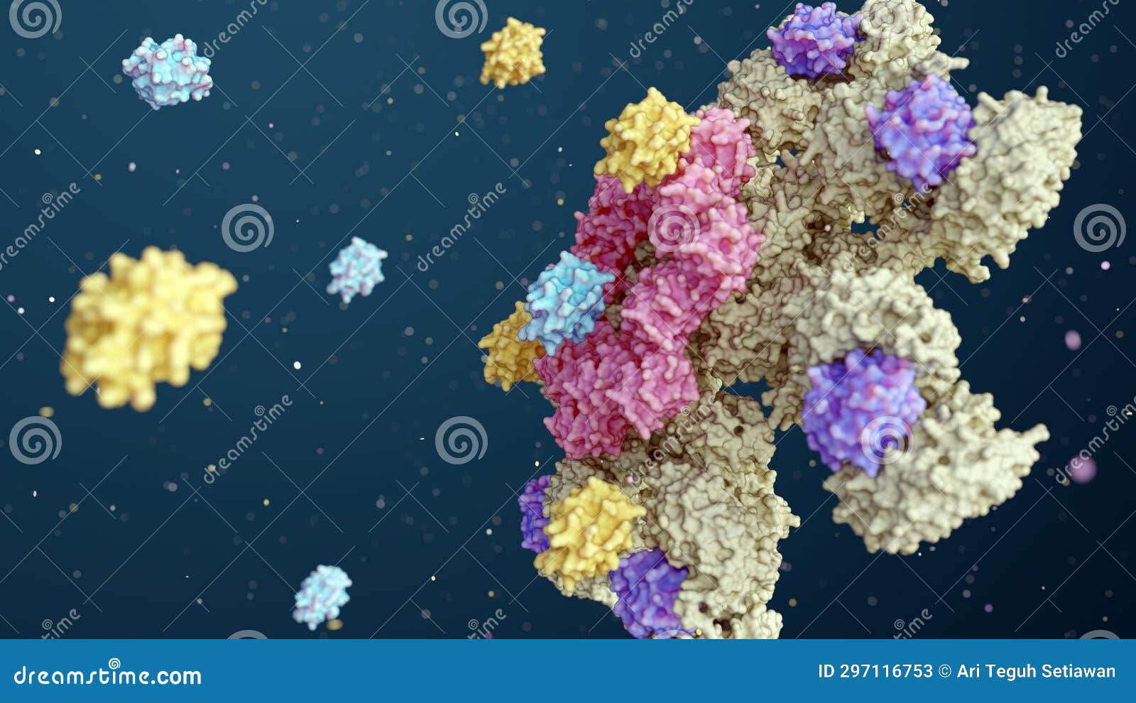 Process of Caspase-9 is Activated on the Apoptosome Complex Stock ...