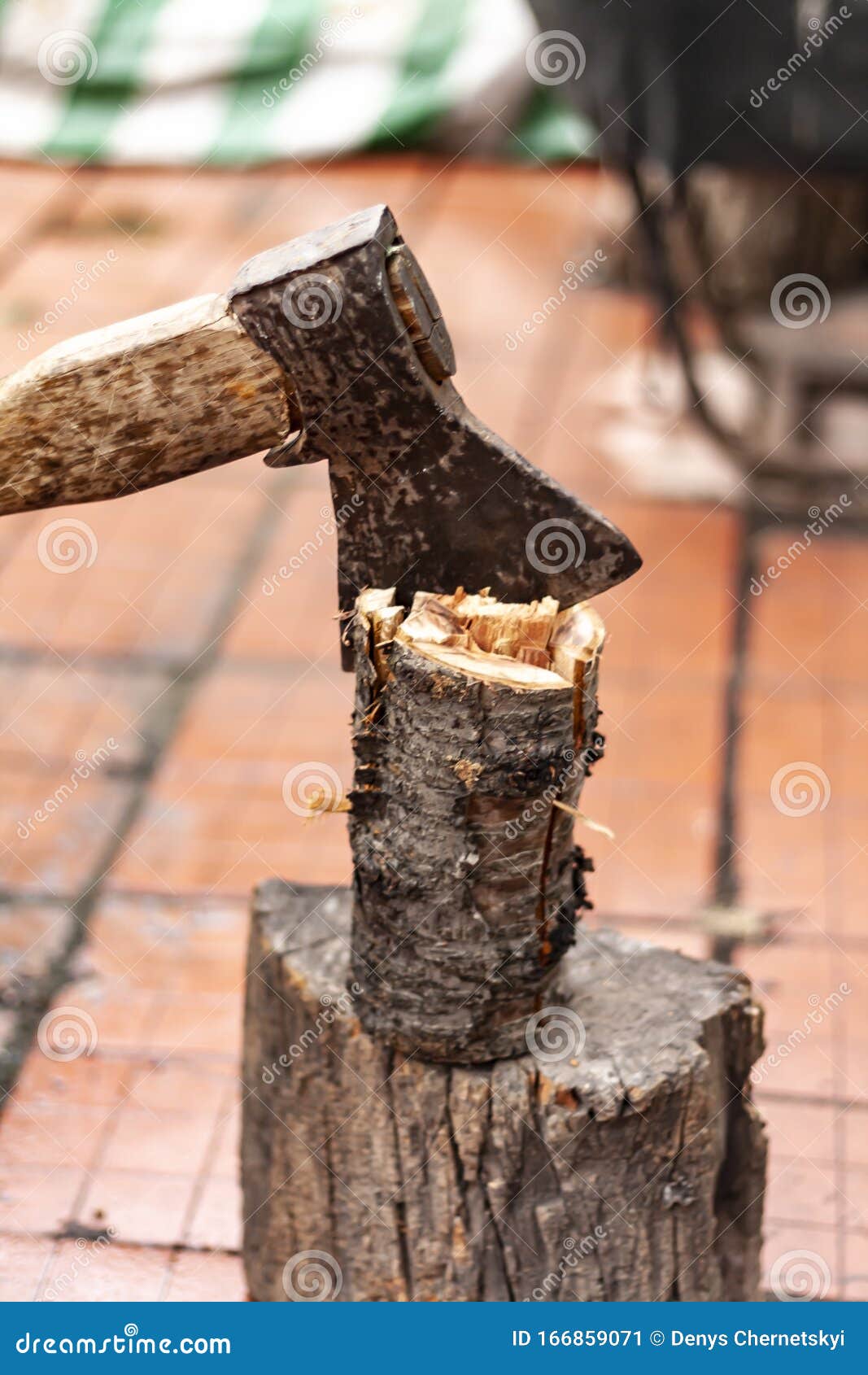 The Process of Chopping an Ax with Wooden Branches for a Fire Stock ...