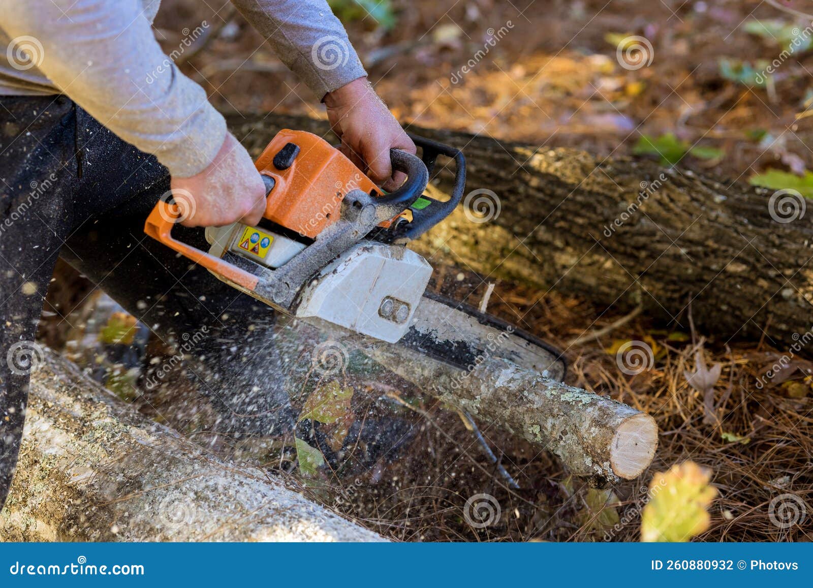 In the Process of Clearing Forest for a New House, a Man is Cutting ...