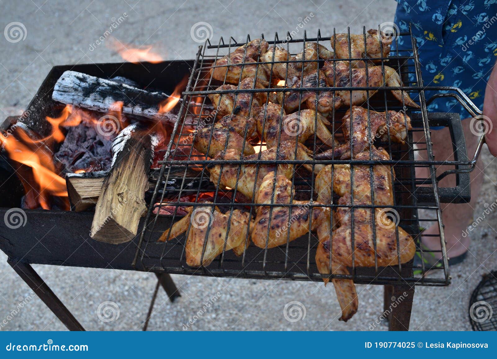 The Process of Cooking Outdoors. Cooking at the Stake Stock Image ...