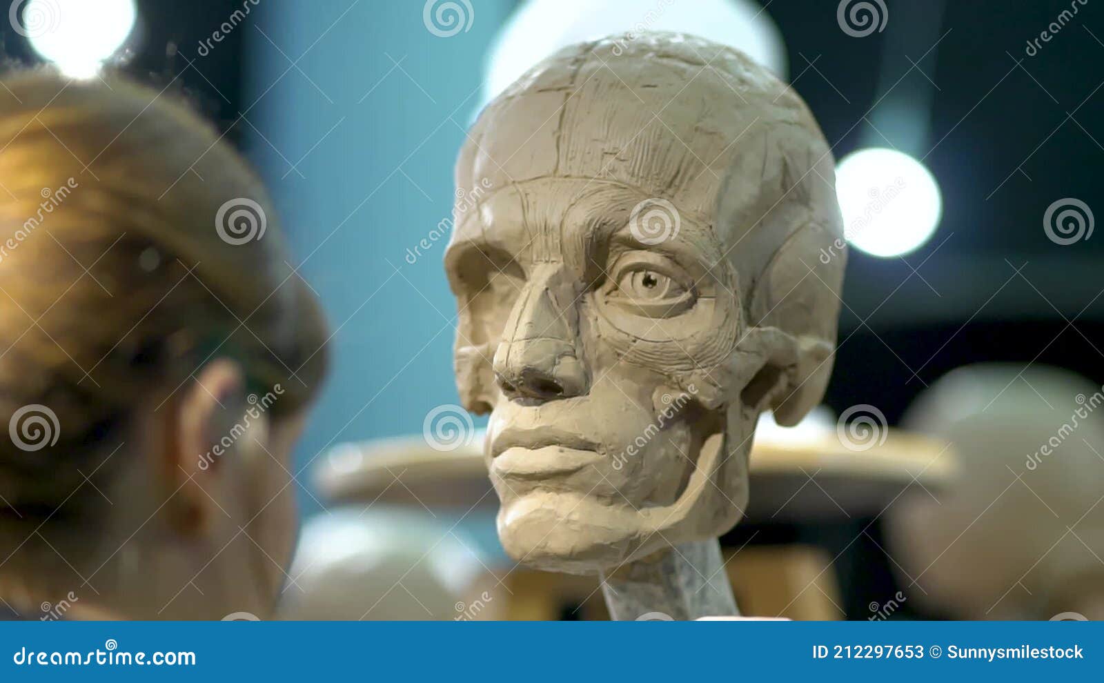 The Process of Creating Ecorche. the Sculptor is Working Stock Video ...