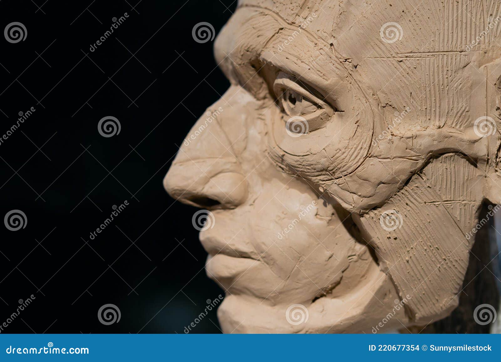 The Process of Creating Ecorche. the Sculptor is Working Stock Photo ...