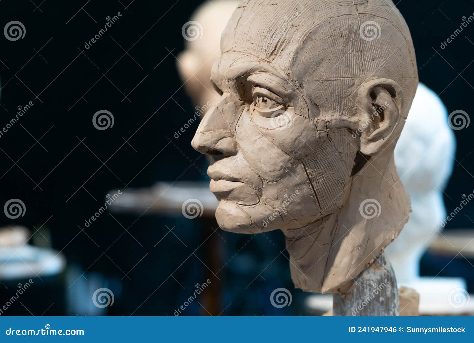 The Process of Creating Ecorche. the Sculptor is Working Stock Photo ...