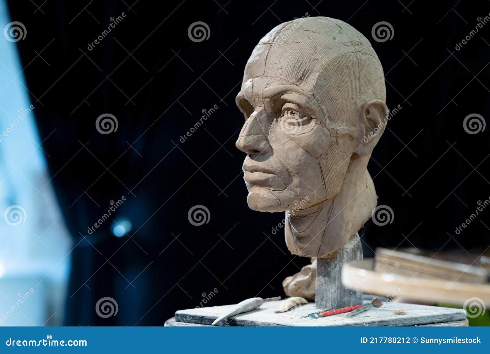 Anatomical Ecorche Head Hand-drawn By Pencil Stock Photo ...